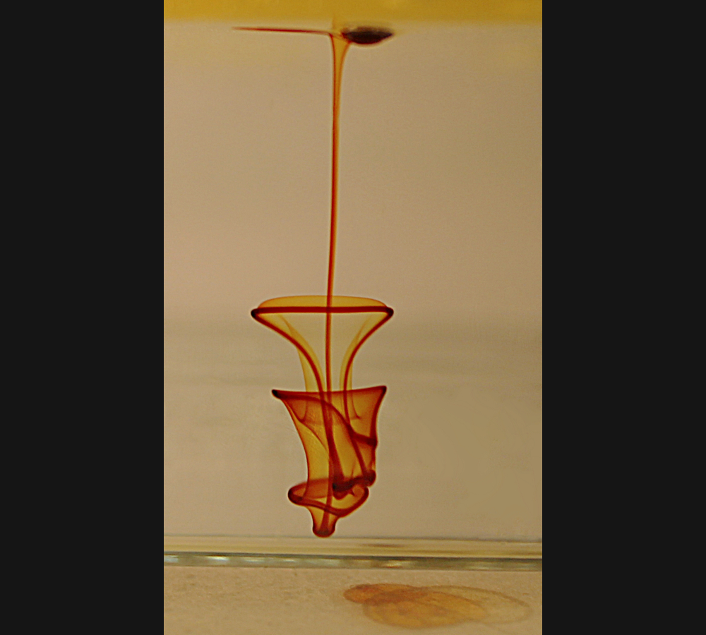 Iodine forms multiple vortex rings as it falls through water after falling through canola oil ...