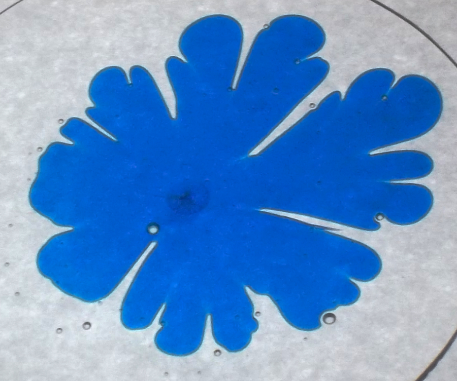 Dyed water injected into corn syrup in a Hele-Shaw cell results in the ...