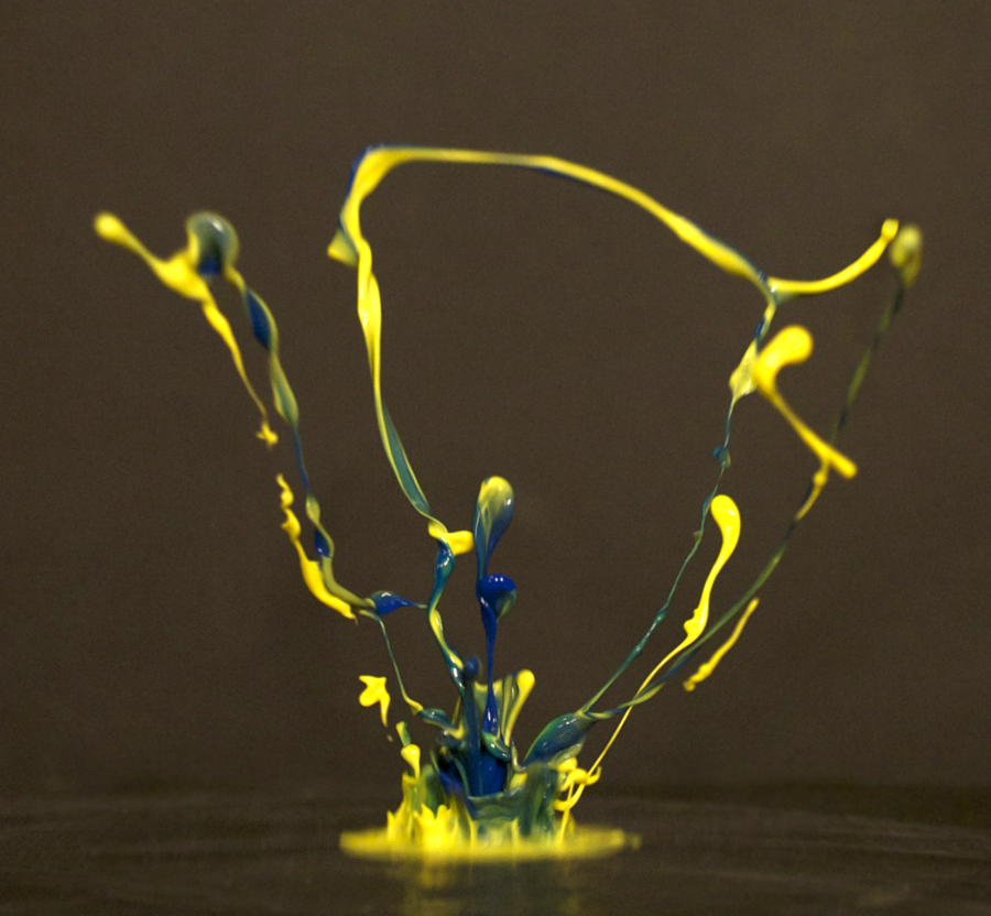 Water-based paint is thrown upward by a loudspeaker, forming ligaments ...