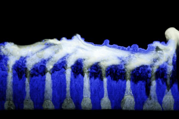 Wall Shear Archives - Flow Visualization