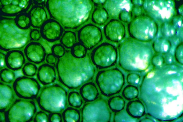 2013 Spring Team Second Archives - Flow Visualization