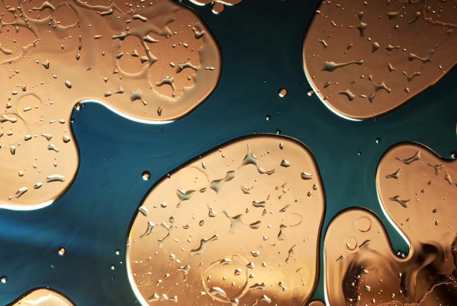 Air bubbles in blue-dyed glycerin in a Hele-Shaw cell. - Flow Visualization