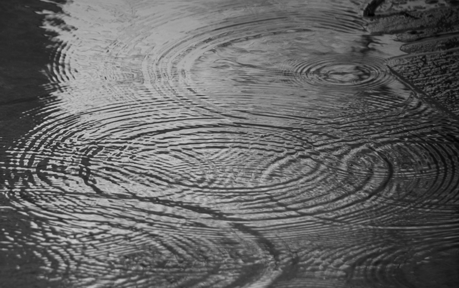 Raindrops falling into a puddle generate spreading ripples that ...