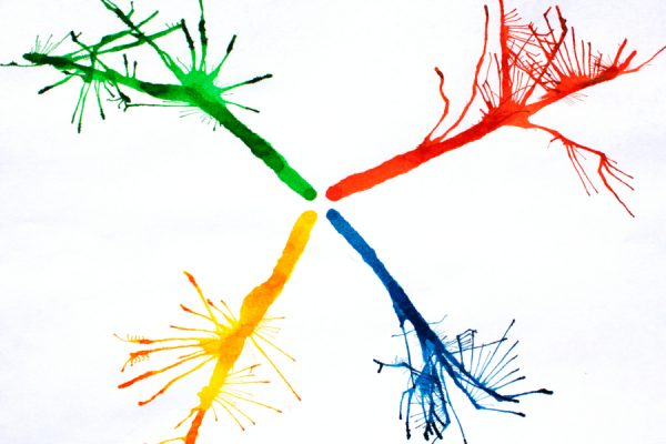 2013 Spring Team Third Archives - Flow Visualization