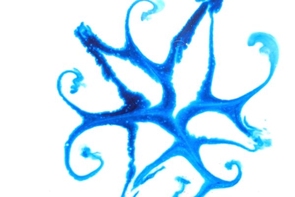 2013 Spring Team Third Archives - Flow Visualization