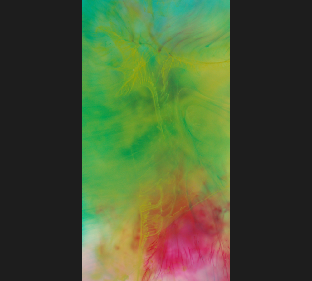 Colored india ink diffuses slowly into water. - Flow Visualization
