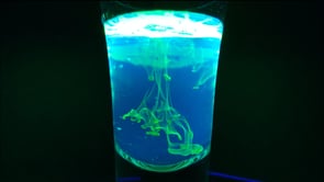 Highlighter dye falling through tonic water exhibits the Rayleigh-Taylor instability, complete ...