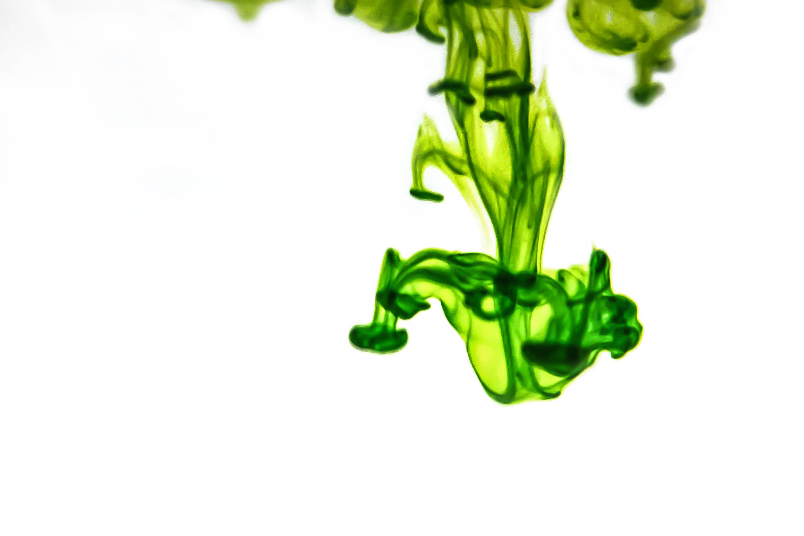 A simple drop of dye diffuses in water and creates a chaotic yet ...
