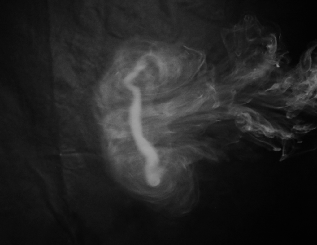 Smoke Jellyfish: Extra fog is entrained into a vortex ring coughed by ...