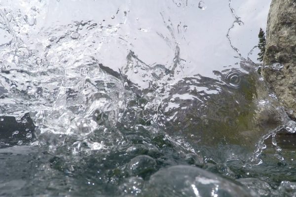 Splashes Archives - Flow Visualization