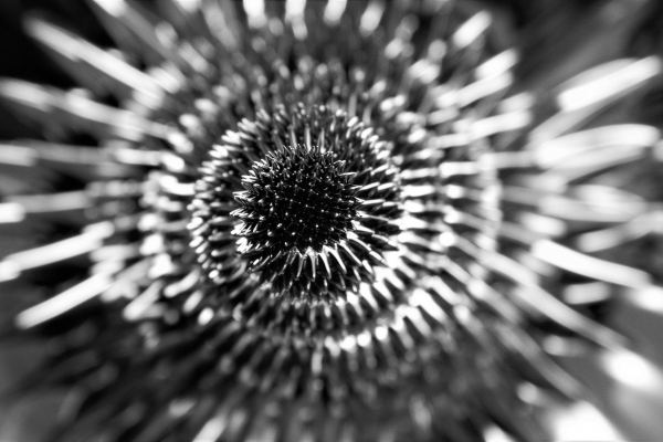 2016 Team Second Archives - Flow Visualization