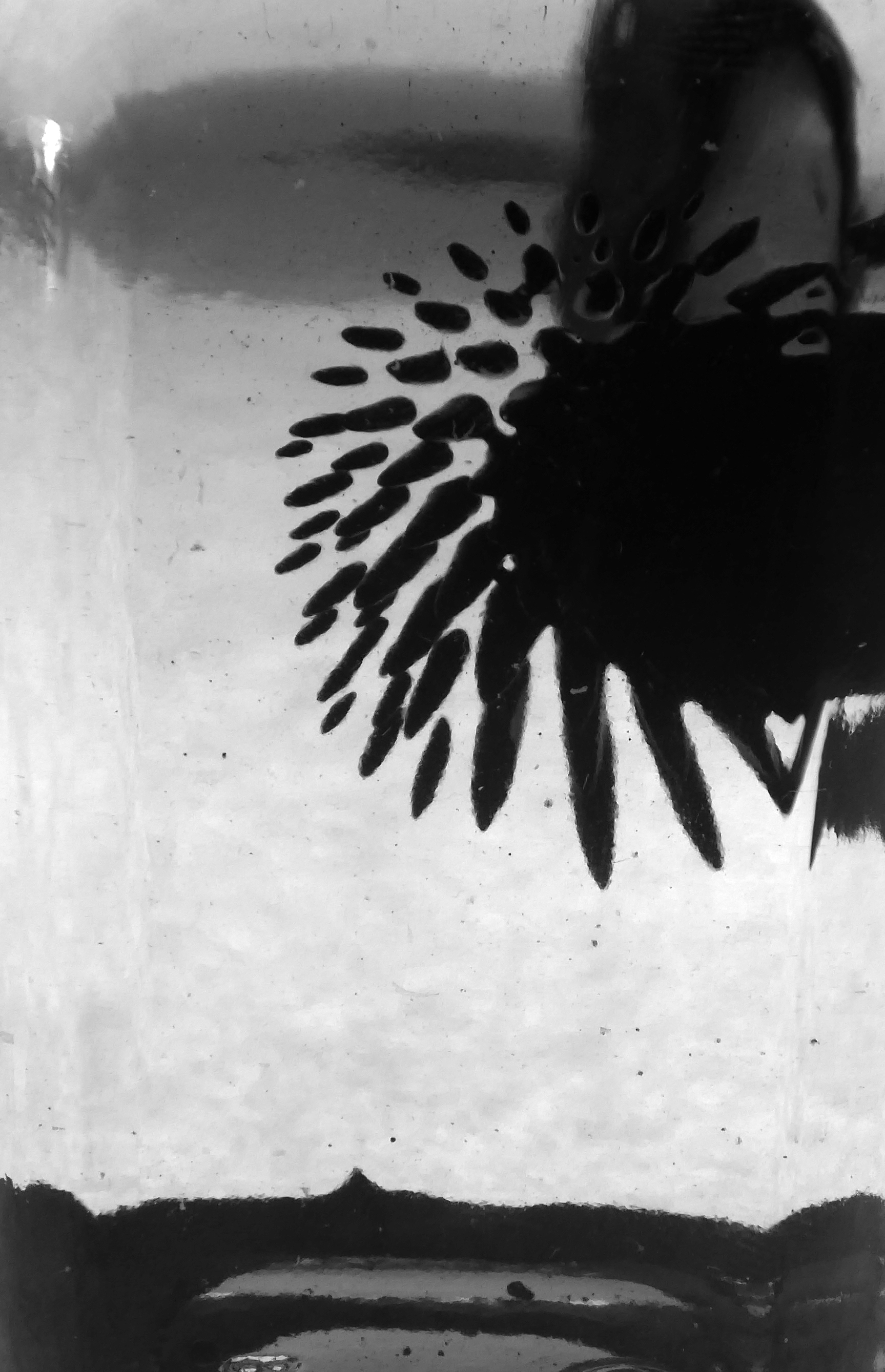 Branden Goldenberg: TeamFirst2016 - Flow Visualization