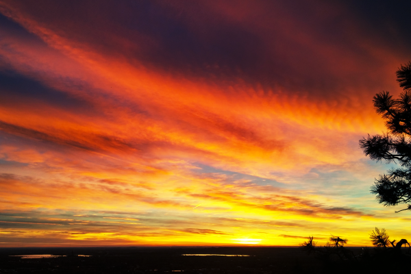 Sunrise Archives - Flow Visualization