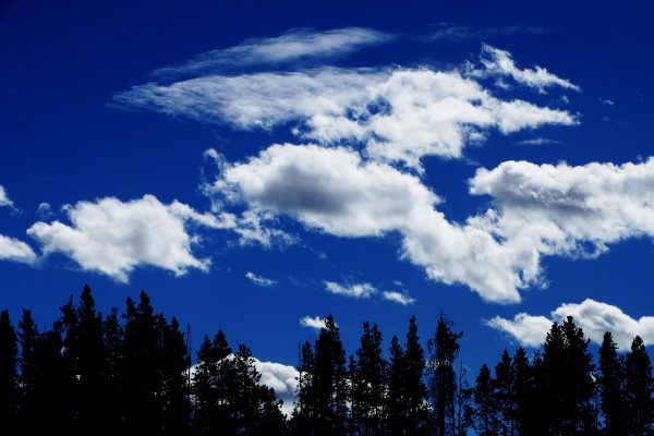 Cumulus Archives - Flow Visualization