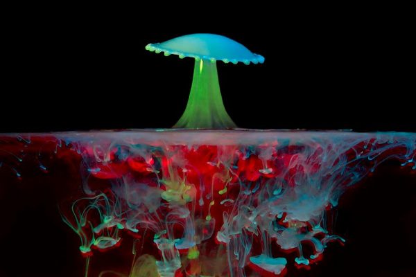 2016 Archives - Flow Visualization