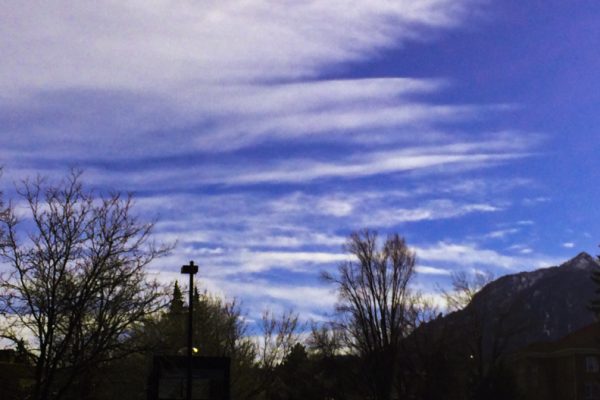 Undulatus Archives - Flow Visualization