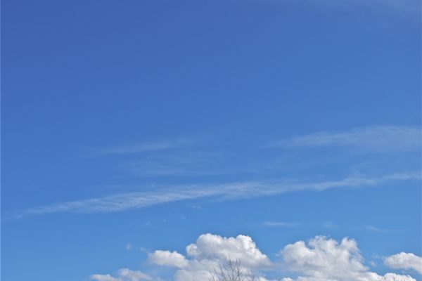 2014 Clouds First Archives - Flow Visualization