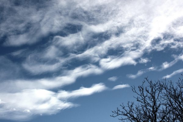 Undulatus Archives - Flow Visualization