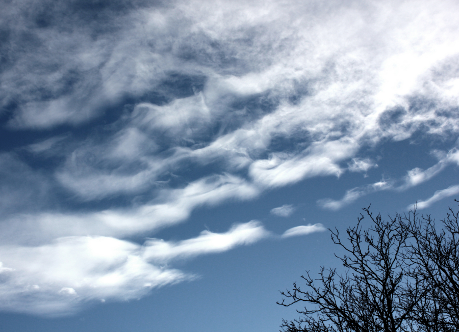 Altocumulus undulatus, Feb 16 2014, Boulder CO. - Flow Visualization