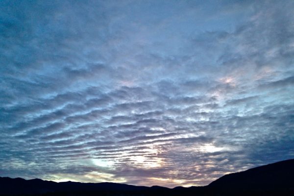 Undulatus Archives - Flow Visualization