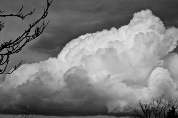 Cumulus Congestus – Flow Visualization