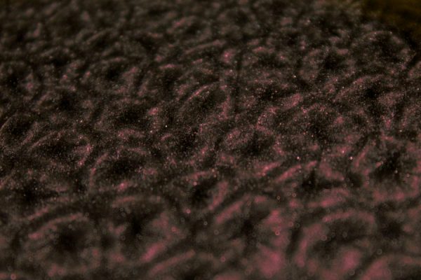 Convective Cell Archives - Flow Visualization