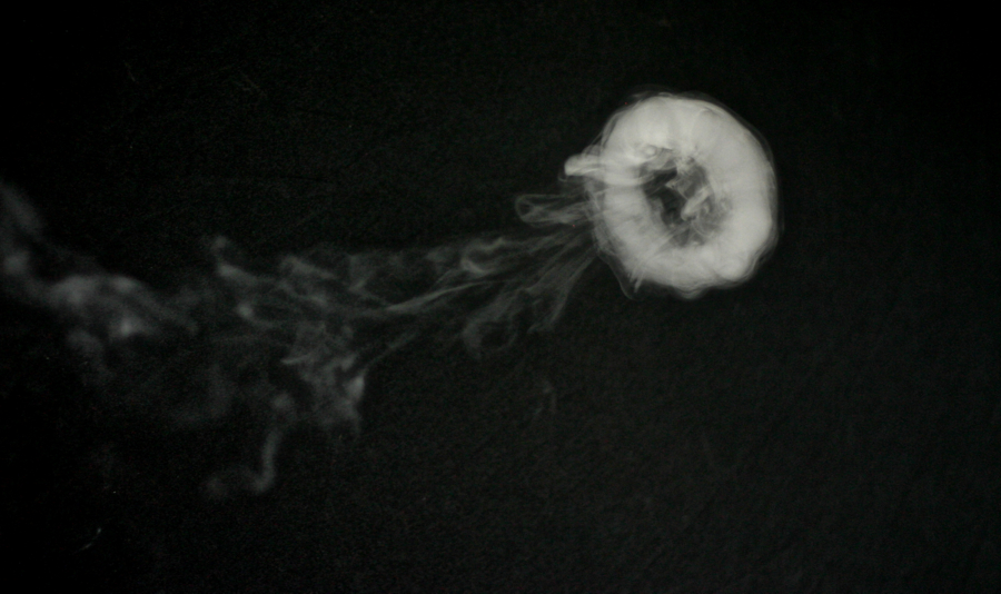 A vortex ring of fog, puffed out of a box with a circular orifice ...