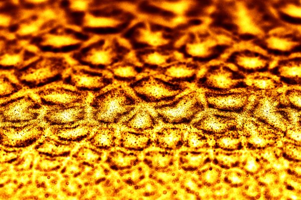 Convective Cell Archives - Flow Visualization