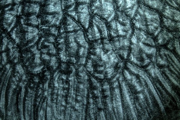 Convective Cell Archives - Flow Visualization