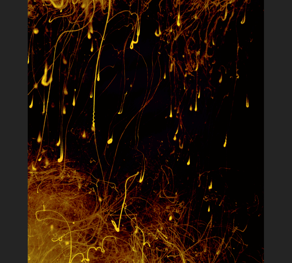 Streams of Elmer's Glue fall through water. - Flow Visualization