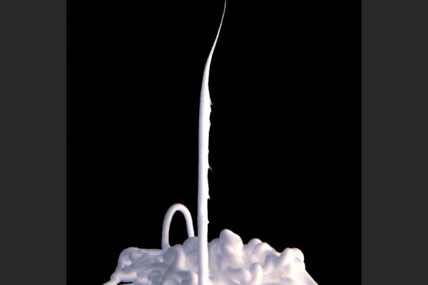 Kaye Effect and Rope Coiling – Flow Visualization