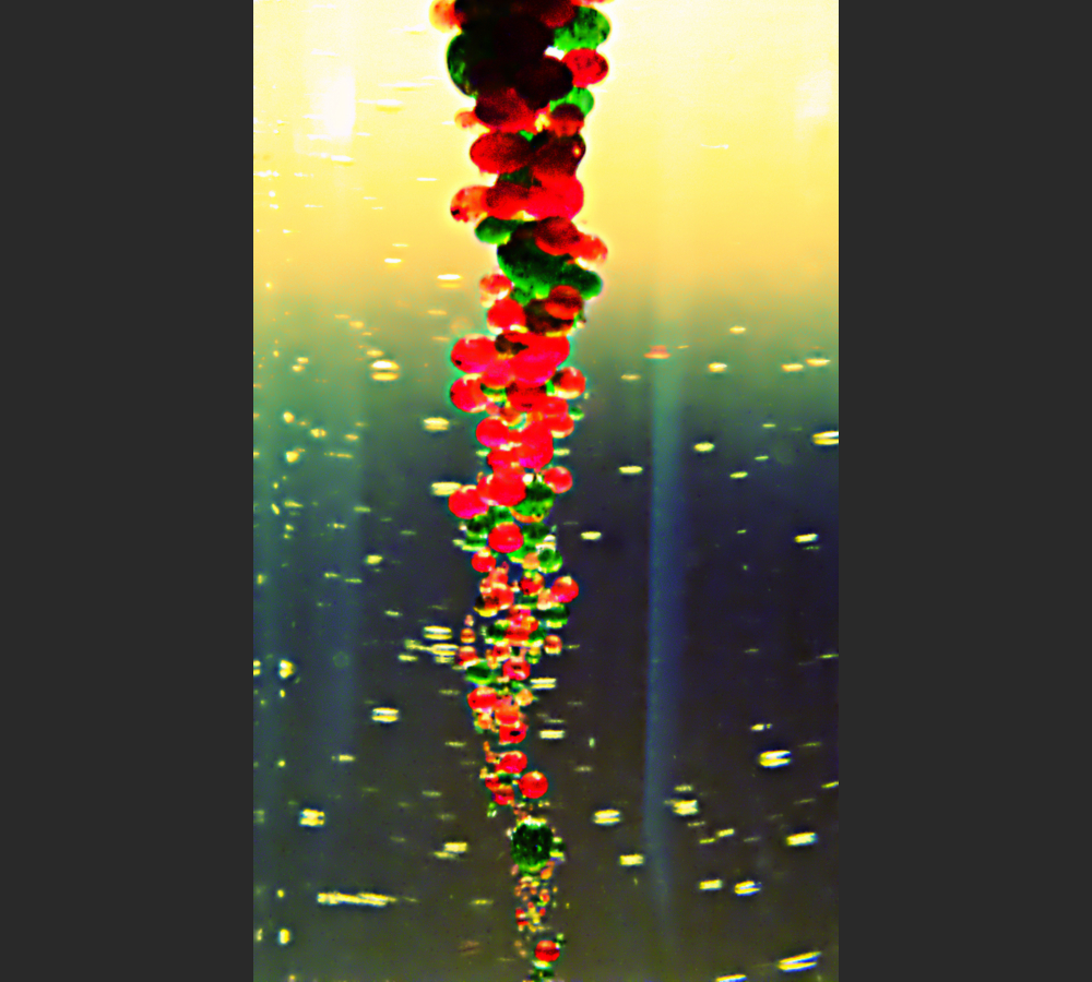 Food dye emulsified in oil is pulled to the center of a vertical vortex ...