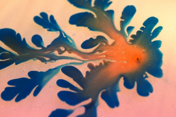 Saffman-Taylor Instability Archives - Flow Visualization