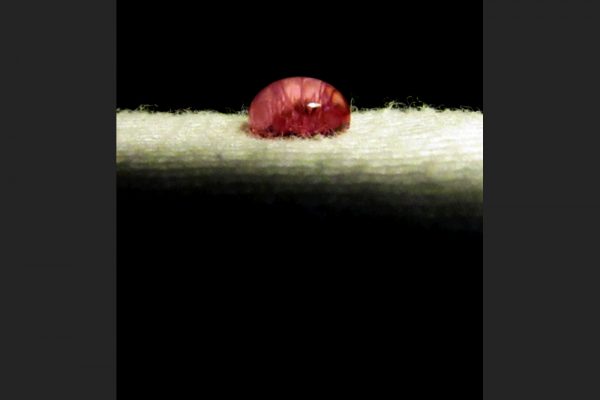 2015 Team First Archives - Flow Visualization