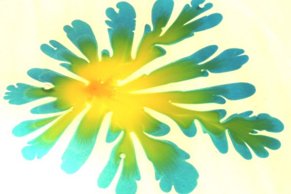 Saffman-Taylor Instability Archives - Flow Visualization