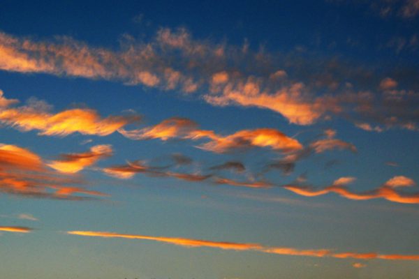 Undulatus Archives - Flow Visualization