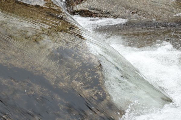 2018 Spring Get Wet Archives - Flow Visualization