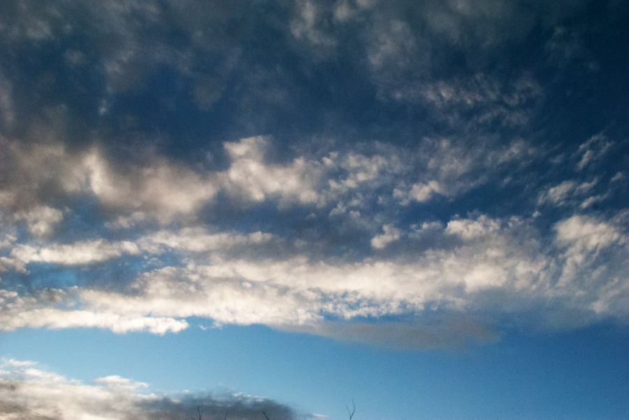 Altocumulus floccus, 7:15 am on November 15th, 2015, Boulder CO. - Flow ...