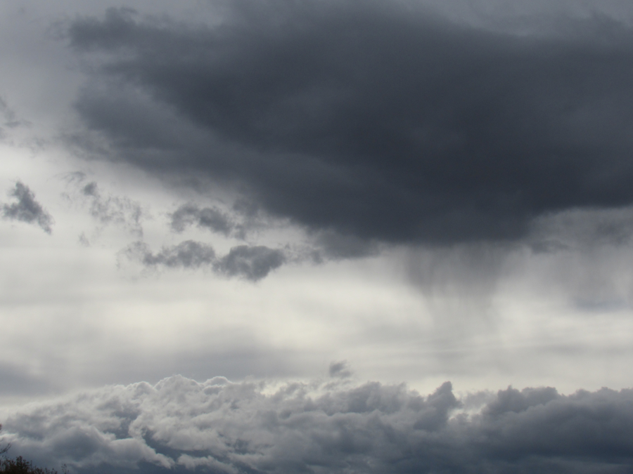 Stratocumulus lenticularis with virga (top), with altostratus translucidus (background) and ...