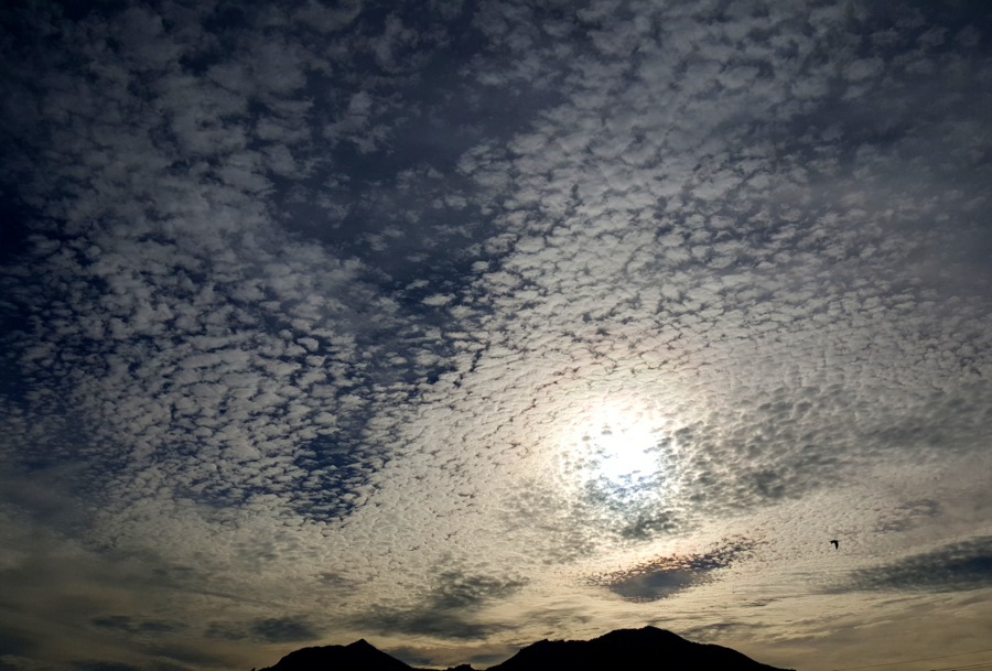 Mackerel sky, altocumulus, November 9th 2015 at about 3pm, Boulder co. - Flow Visualization