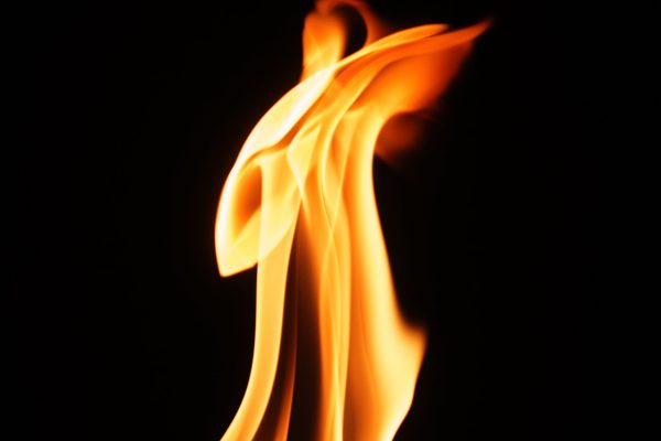 Madison Emmett, Author at Flow Visualization