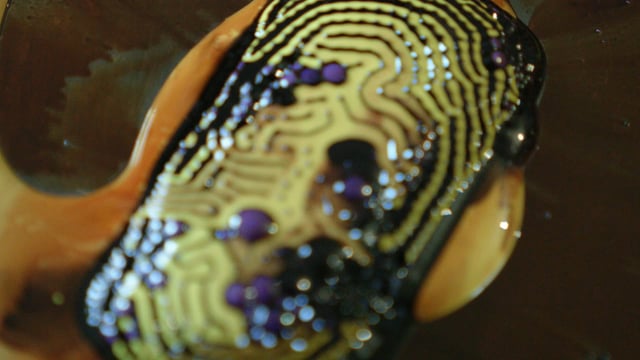 Cade Haley - Flow Visualization