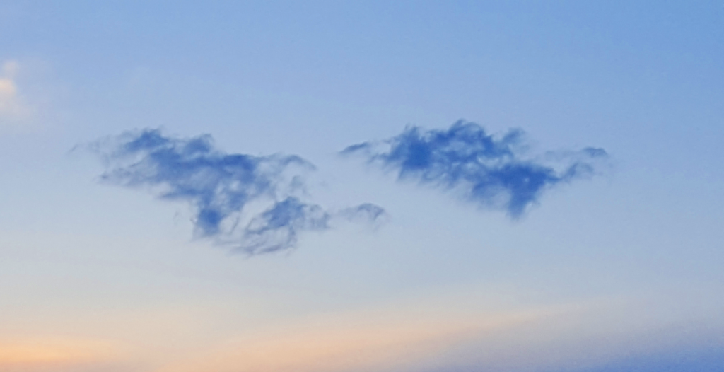 Cloud First - Riley Kenyon - Flow Visualization