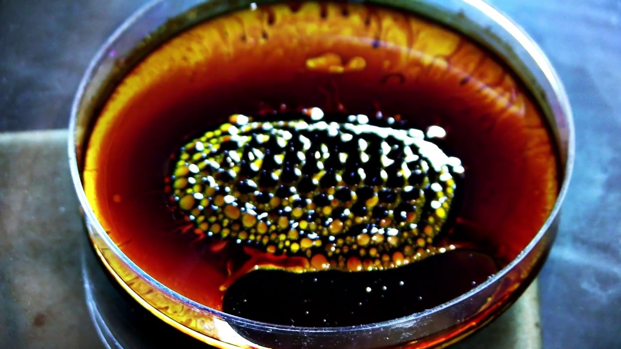 Team First - Lucas Sorensen - Flow Visualization