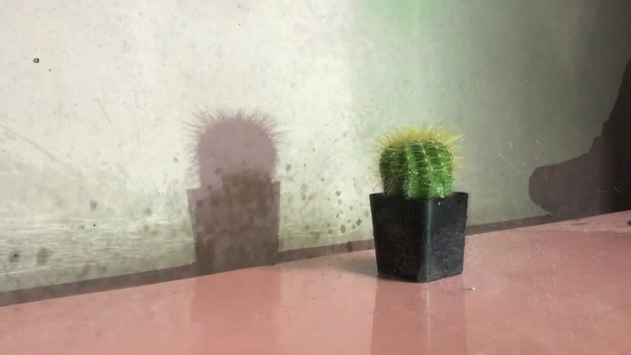 Team First - Yousef Taqi - Flow Visualization