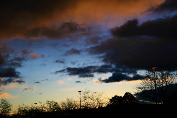 Jacob Chapin, Author at Flow Visualization