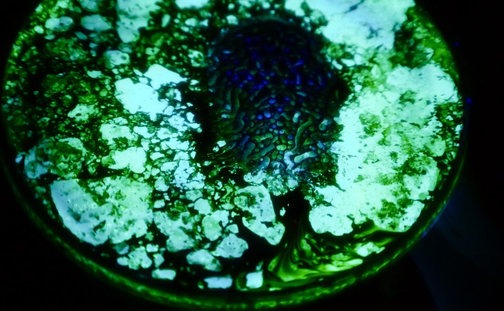 Team Second - Zachary Hinck - Flow Visualization