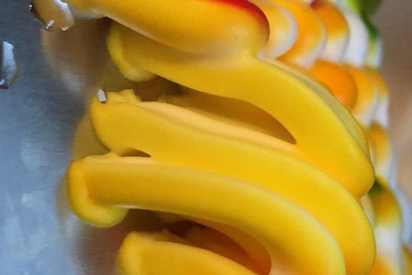 2018 Spring Team Second Archives - Flow Visualization