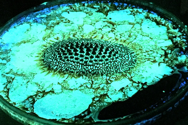 2018 Spring Team Second Archives - Flow Visualization