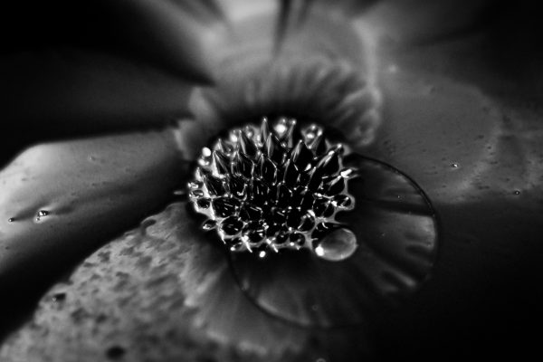 Hanwen Zhao, Author at Flow Visualization